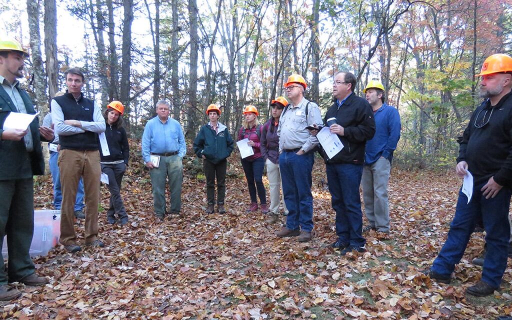 Nos Collaborations - Domtar