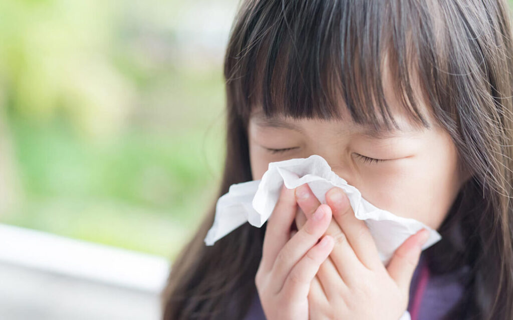 Papergrade Pulp Manufacturer - Domtar