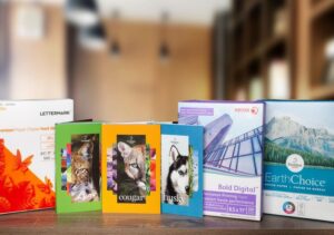 Paper Manufacturing Company - Domtar