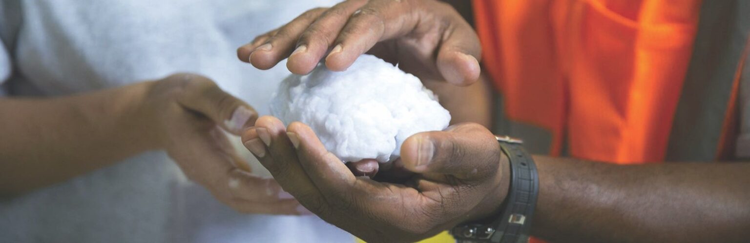 Fluff Pulp Manufacturer - Domtar