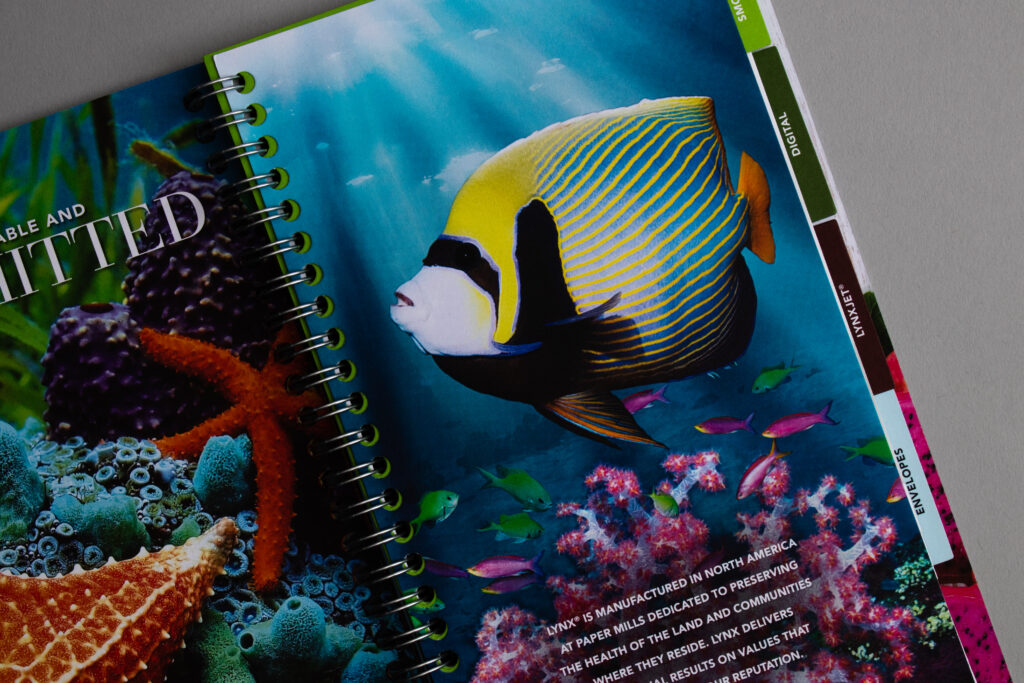 Introducing...the New Lynx® Swatchbook - Domtar