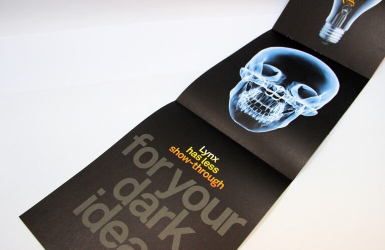 Throwback Thursday: How to explore the possibilities with Lynx - Domtar