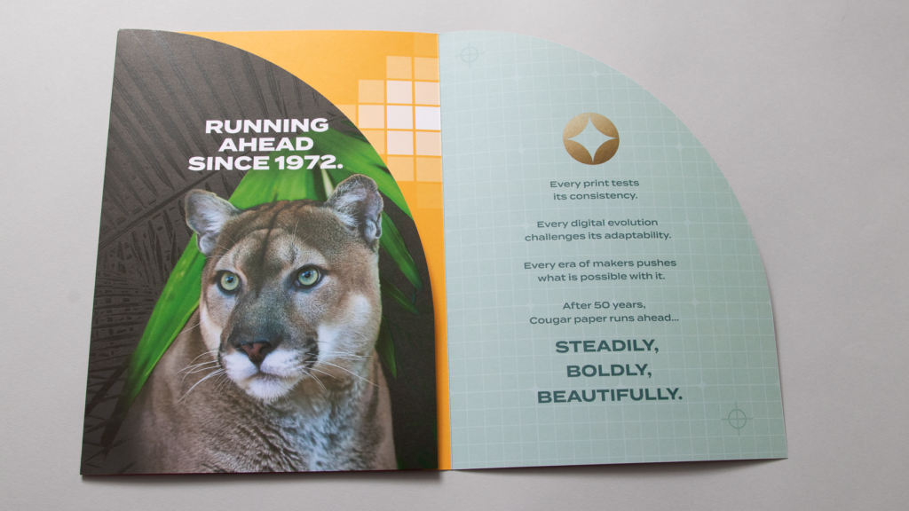 How Techniques Bring Print Pieces to Life - Die Cuts - Domtar