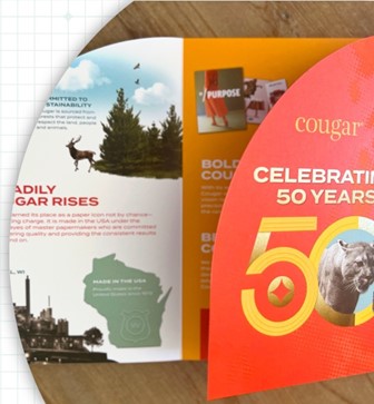 How Techniques Bring Print Pieces to Life - Die Cuts - Domtar