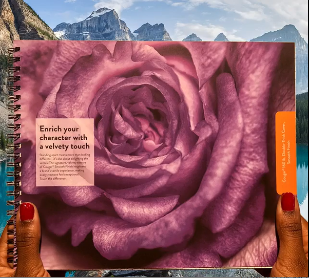 Pantone's 2022 Color of the Year - Veri Peri - Domtar