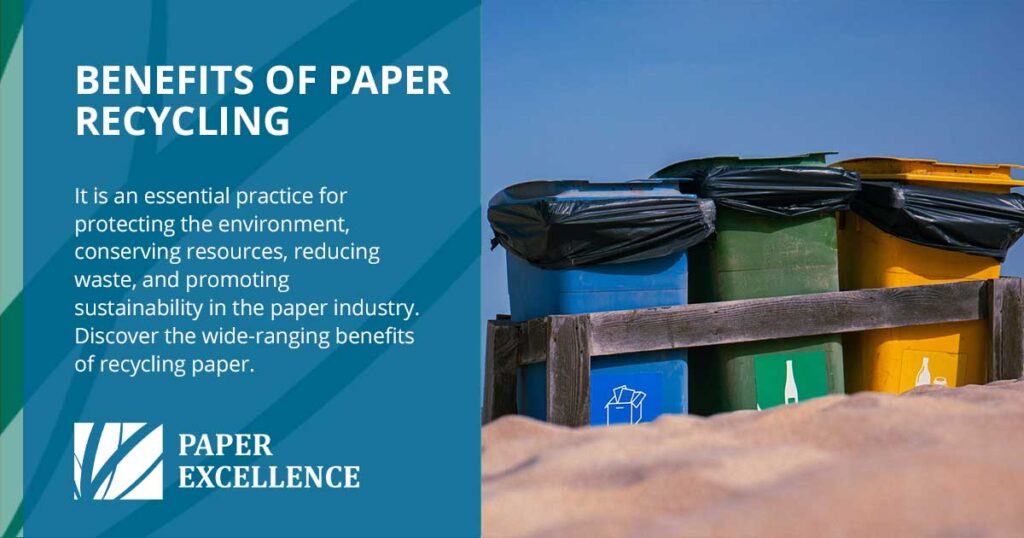 The Environmental Benefits of Recycling Paper | Paper Excellence