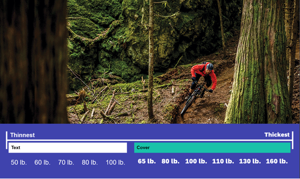 Basis Weight Basics - Domtar