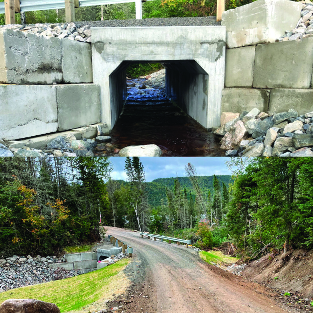 Building a Better Fishway for the Vulnerable American Eel - Domtar