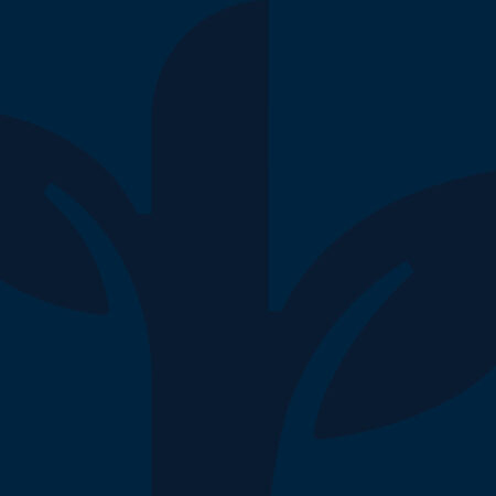 Domtar | The Sustainable Paper, Pulp and Packaging Company