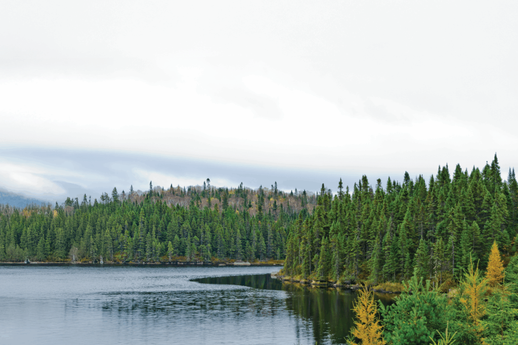 Promoting Indigenous‑led Conservation in Canada - Domtar